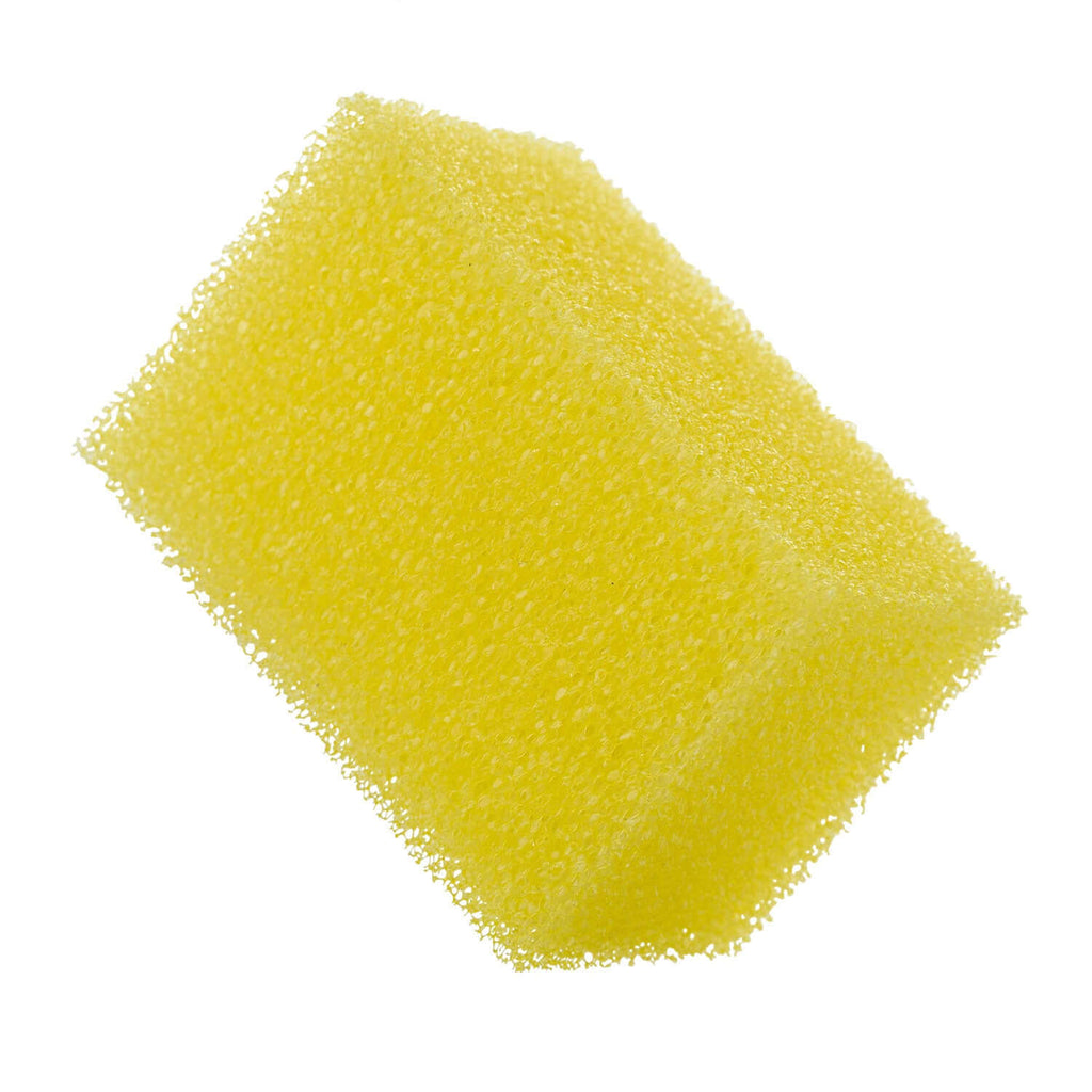 Bug Scrubbing Block for Removing Unwanted Residue